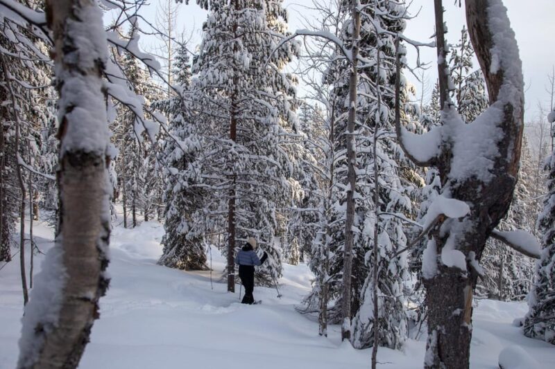Levi: Lakeside forest snowshoeing - Frequently Asked Questions
