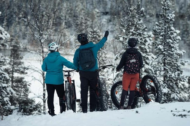 Levi, Lapland: E-Fatbike trip to white nature - A Fun & Unique Way to Explore Lapland’s White Wilderness