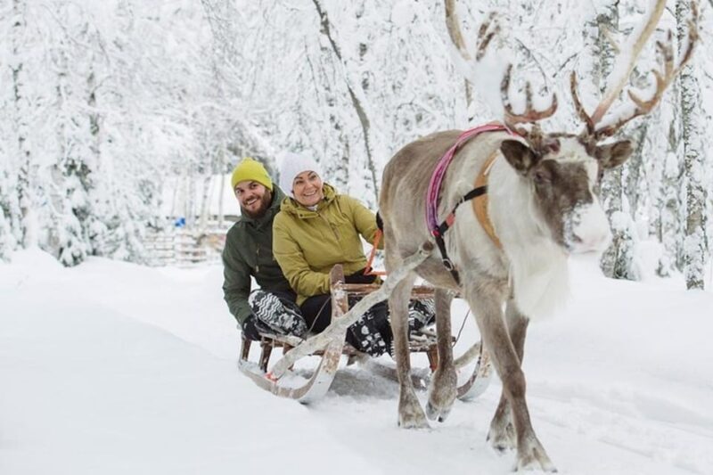 Levi: Lapland Reindeer and Husky Safari - Key Points