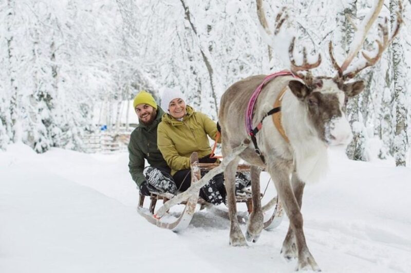 Levi: Lapland Reindeer Safari - Who Should Consider This Tour?
