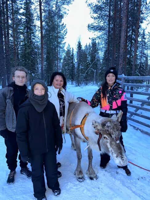 Levi: Meet Reindeer and Visit Husky Kennel - Key Points