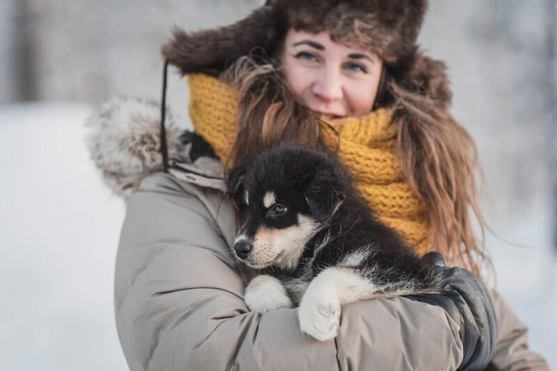 Levi: Nature Walk with Huskies - An Honest Look at the Experience