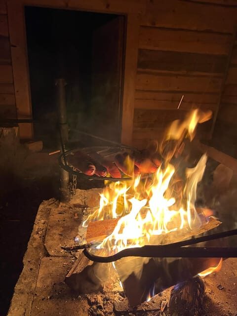 Levi: Northern Lights Adventure in the Wild, Campfire Treats - Key Points