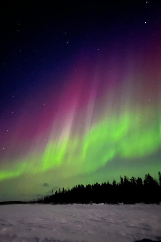 Levi: Northern Lights Adventure in the Wild, Campfire Treats - What the Experience Tells You About Lapland