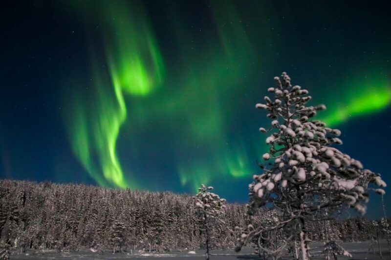 Levi: Northern Lights Campfire - Key Points