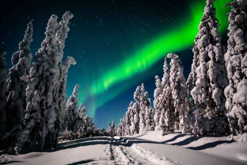 Levi: Northern Lights Hunting - Photography Tour - The Value and Cost