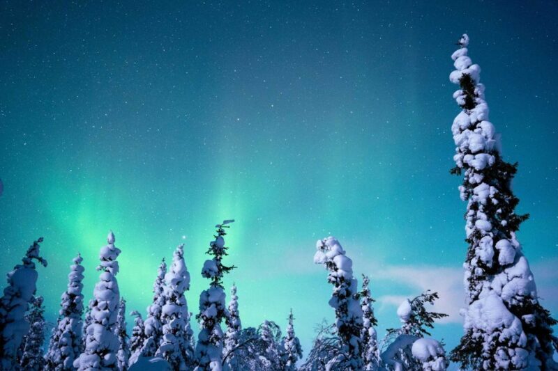 Levi: Northern Lights Hunting - Photography Tour - Reviews and Real Experiences