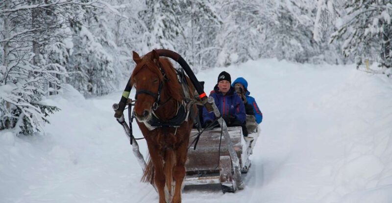 Levi: One Horse Open Sleigh Ride - Key Points