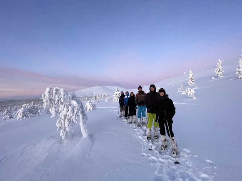 Levi: Pallas-Yllästunturi National Park Snowshoeing Tour - Key Points