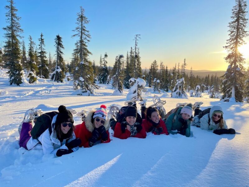 Levi: Pallas-Yllästunturi National Park Snowshoeing Tour - Why Choose This Tour?