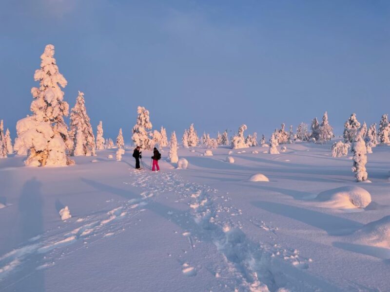 Levi: Pallas-Yllästunturi National Park Snowshoeing Tour - Final Thoughts