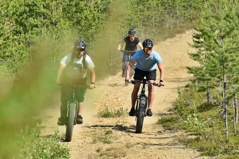 Levi: Pallastunturi National Park e-fatbiking Adventure - Discovering Pallastunturi: A Landscape of Contrasts