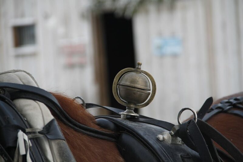 Levi, Polar Lights Tours: One Horse Open Sleigh Ride - Levi, Polar Lights Tours: One Horse Open Sleigh Ride