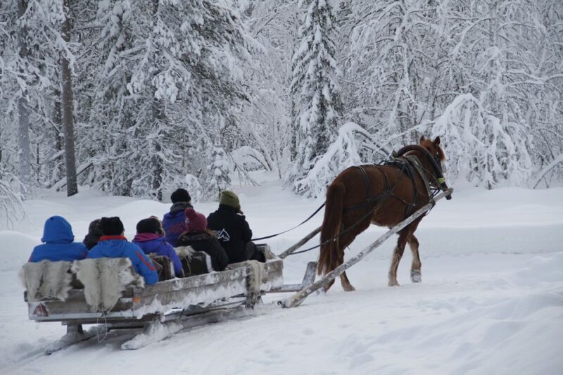 Levi, Polar Lights Tours: One Horse Open Sleigh Ride - A Warm Welcome to the Arctic Wilderness