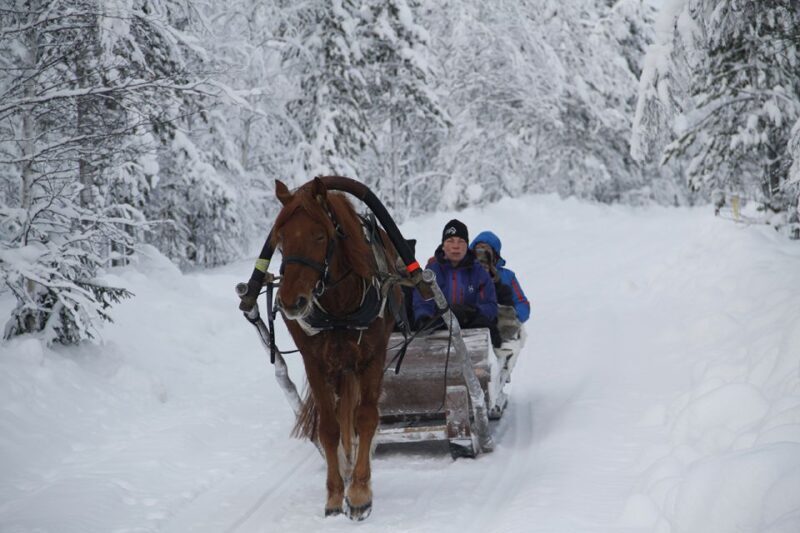 Levi, Polar Lights Tours: One Horse Open Sleigh Ride - What’s Included & Practical Details
