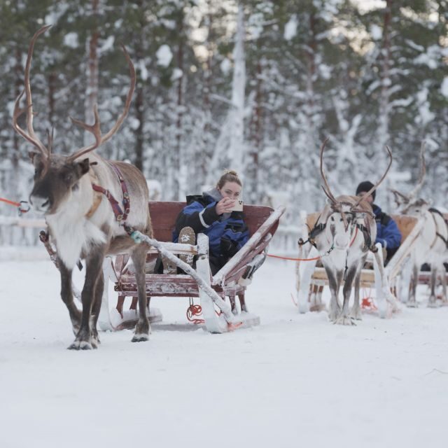 Levi Polar Lights Tours: Reindeer and Husky Taster - Authenticity and Atmosphere