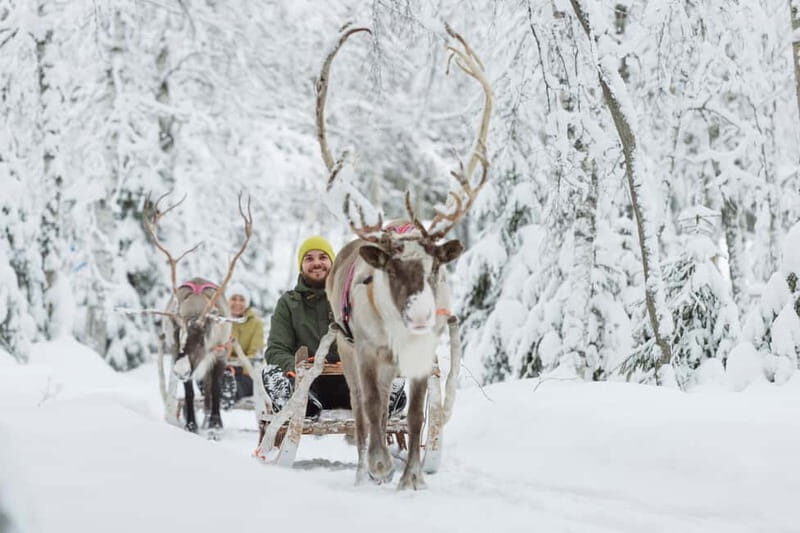 Levi: Reindeer Experience with Sled Ride - The Itinerary: A Closer Look