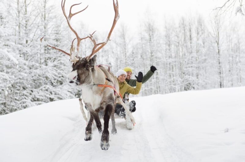 Levi: Reindeer Experience with Sled Ride - The Sum Up