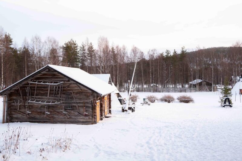 Levi: Reindeer Farm E-Fatbike Safari - An Overview of the Tour