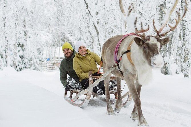 Levi Reindeer Safari - Long or Quick - with Sledge Ride - The Sum Up: Who Should Consider This Tour?