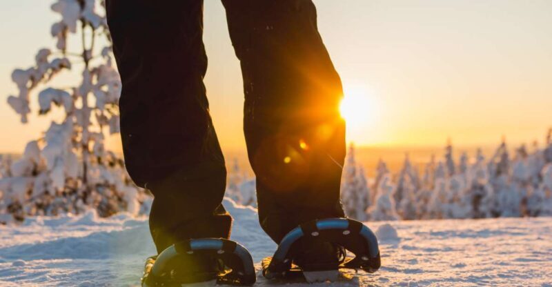 Levi: Scenic Levi Snowshoe Trip - The Experience in Detail