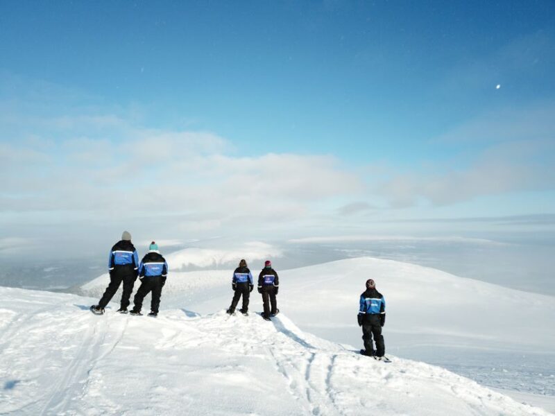 Levi: Scenic Levi Snowshoe Trip - Why This Tour Works for You