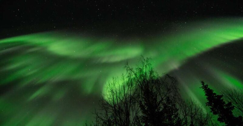 Levi: Search for Northern Lights in snowmobile sleigh - An In-Depth Look at the Experience