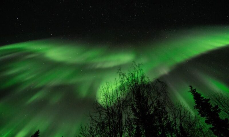 Levi: Search for Northern Lights in snowmobile sleigh - Authenticity and Authentic Experiences