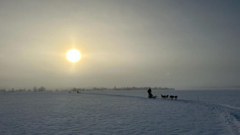 Levi: Self-Drive 5 KM Husky Sledding Experience - Key Points