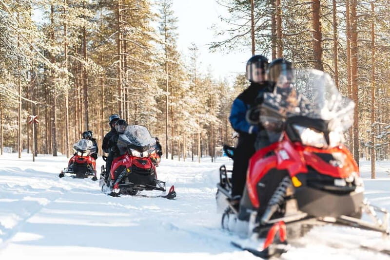 Levi: Snowmobile Safari to the Levi Nature - Value and Pricing