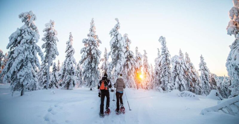 Levi: Snowshoe Adventure in the Wilderness - The Sum Up