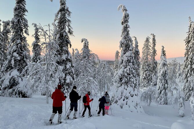 Levi: Snowshoeing adventure in the National Park - An Overview of the Experience