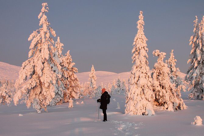 Levi: Snowshoeing adventure in the National Park - Walking on Snowshoes: What to Expect