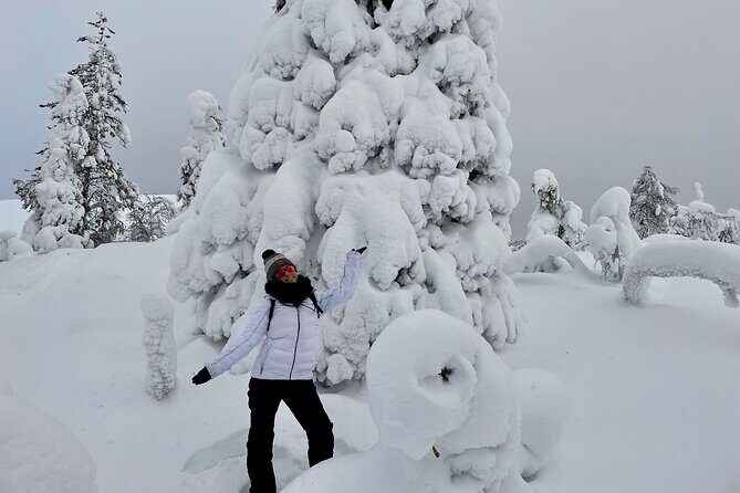 Levi: Snowshoeing adventure in the National Park - Analyzing the Value