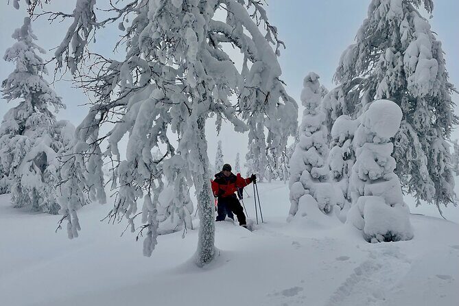 Levi: Snowshoeing adventure in the National Park - Who Will Love This Tour?