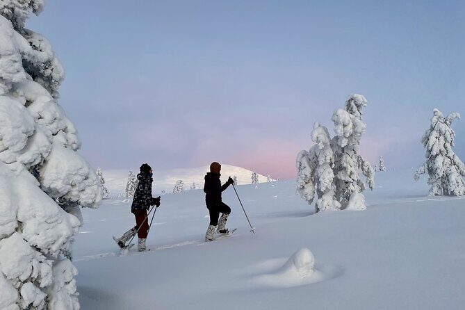 Levi: Snowshoeing adventure in the National Park - The Sum Up
