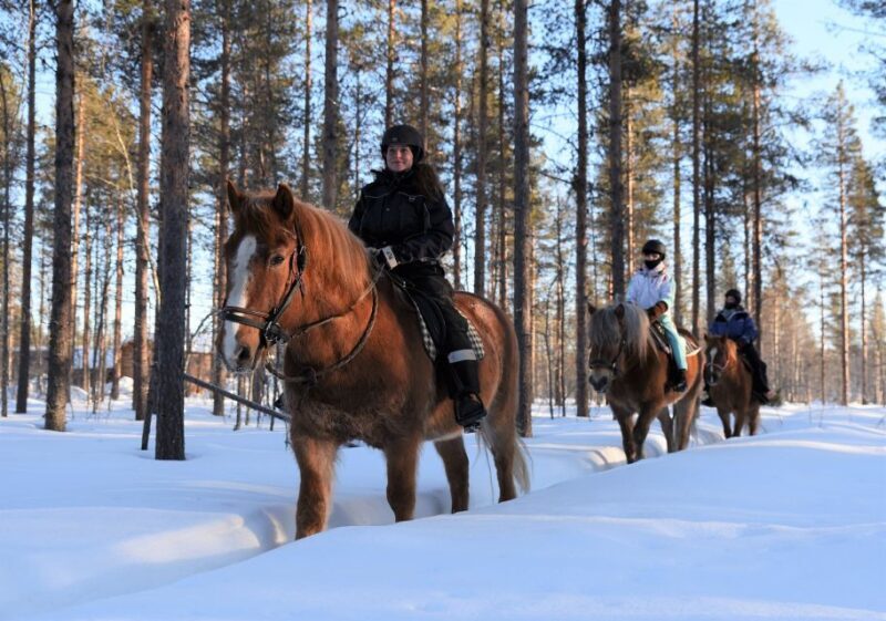 Levi: Snowy Forest Ride and Polar Lights Tours - Key Points