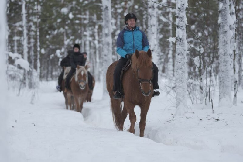 Levi: Snowy Forest Ride and Polar Lights Tours - The Authenticity of the Experience