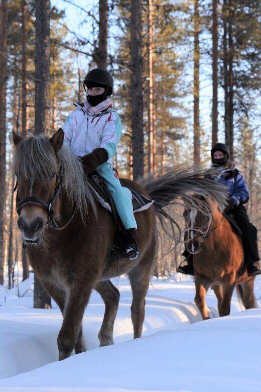 Levi: Snowy Forest Ride and Polar Lights Tours - The Value of the Tour