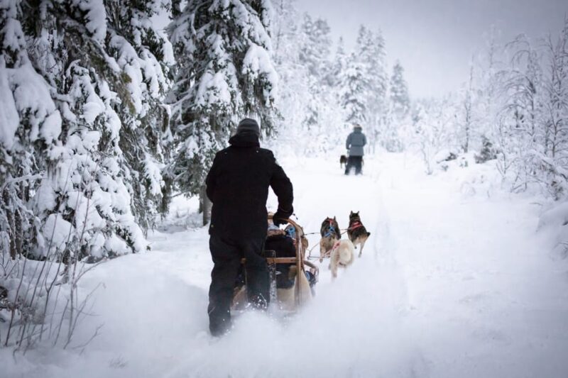 Levi: Winter Highlights Family Day - What to Expect on Your Adventure