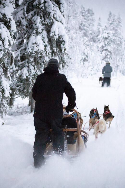 Levi: Winter Highlights Family Day - Frequently Asked Questions