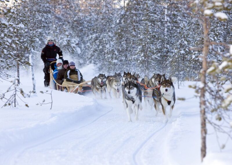 Levi: Winter Highlights Tour with Snowmobiling - Key Points