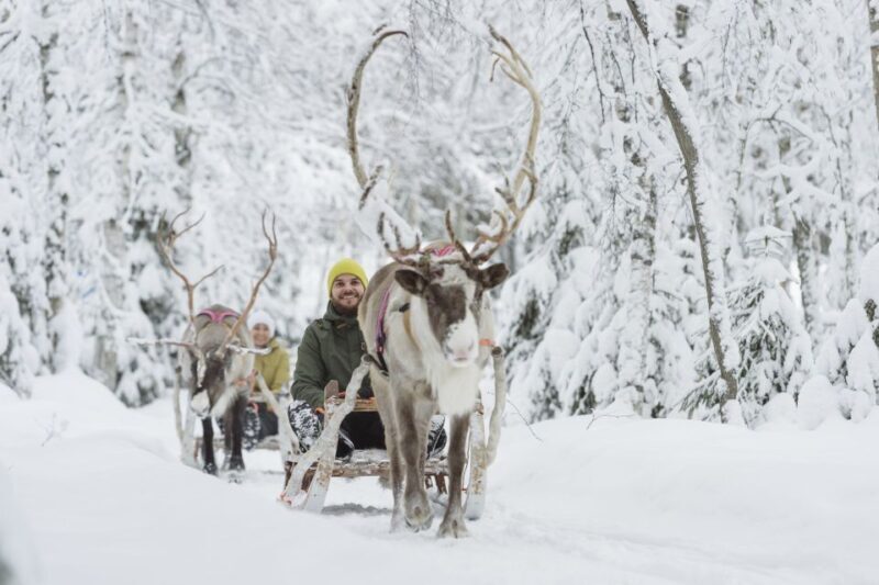 Levi: Winter Highlights Tour with Snowmobiling - Starting the Day: A Scenic Journey into Levi’s Wilderness