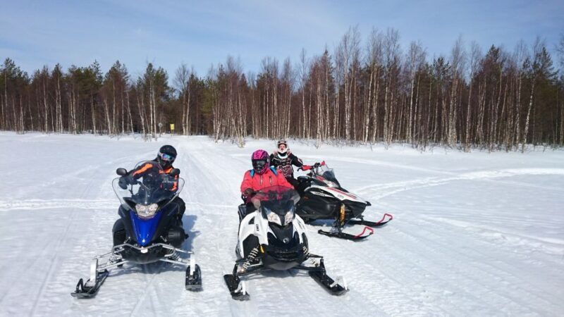 Levi: Winter Highlights Tour with Snowmobiling - Snowmobiling Safari: An Adrenaline Rush