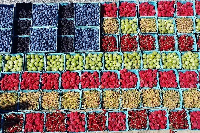 Lewin Farms, Lavender By The Bay and Tanger Outlets Full-Day Tour - A Complete Breakdown of the Tour Experience