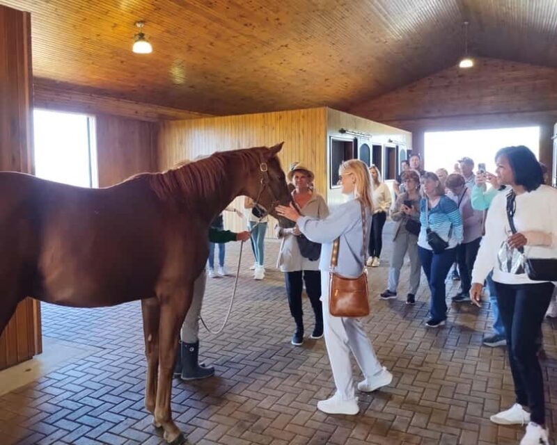 Lexington: Thoroughbred Horse Farm Tour and Scenic Bluegrass - Key Points