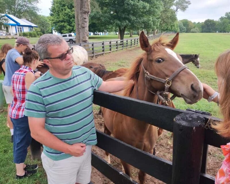 Lexington: Thoroughbred Horse Farm Tour and Scenic Bluegrass - An Introduction to the Lexington Horse Farm Experience