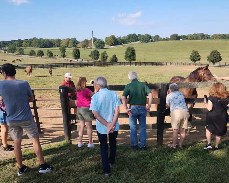 Lexington: Thoroughbred Horse Farm Tour and Scenic Bluegrass - The Value and Practicalities