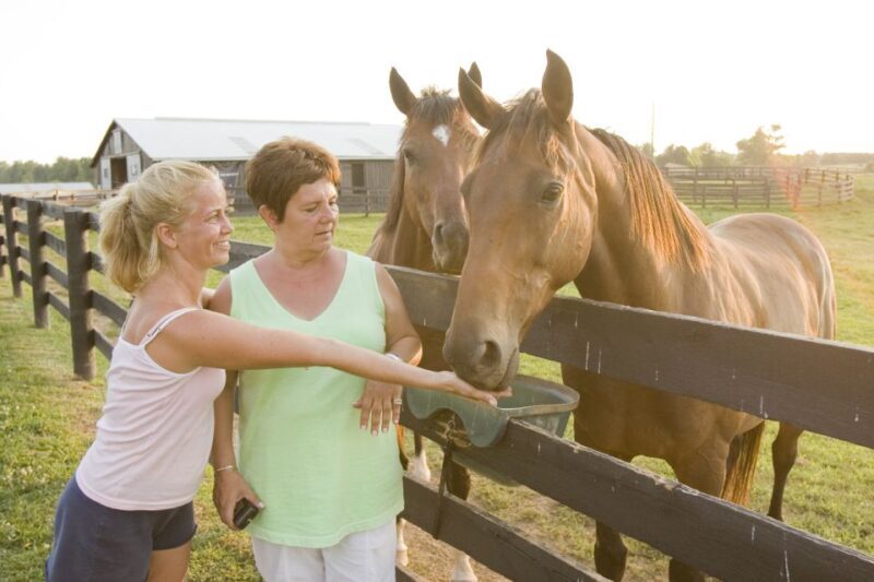 Lexington: Thoroughbred Horse Farm Tour and Scenic Bluegrass - The Guides: Knowledgeable and Entertaining
