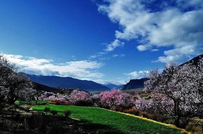 Lhasa Private Arrival Transfer: Airport to Hotel - Who Will Benefit Most?